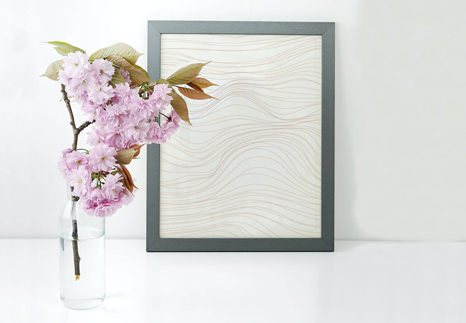 Photo books + frames